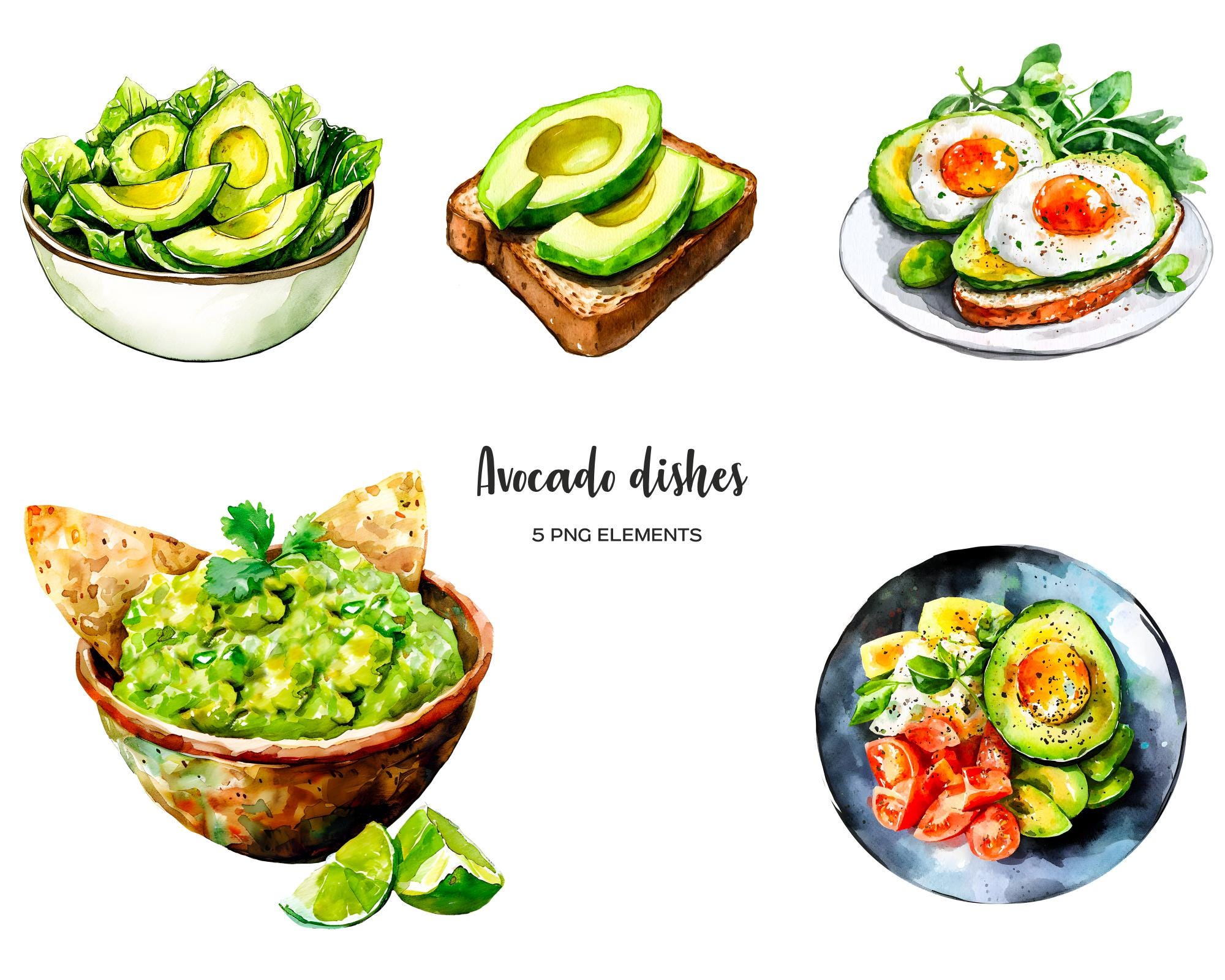 Watercolor Avocado Clipart: Fruit, Tree & Dishes (PNG Digital Download ...