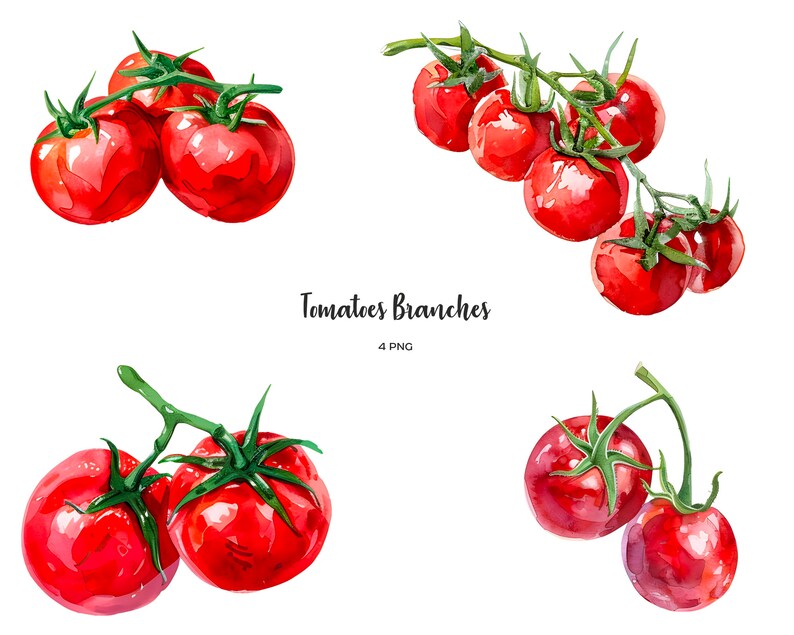 Watercolor Tomato Clipart: Fresh Red, Yellow, Green PNG (34 Items) - Etsy