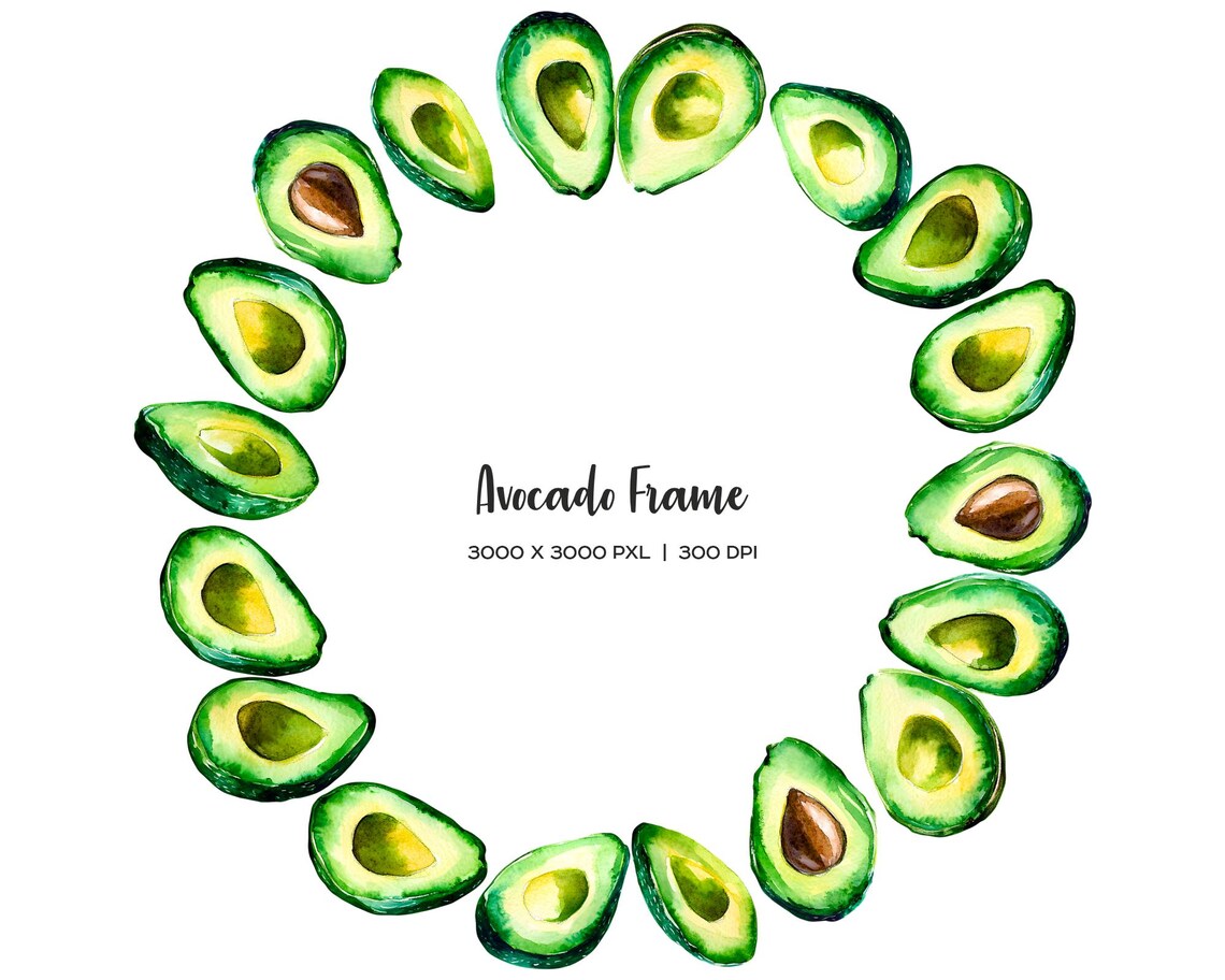 Watercolor Avocado Clipart: Fruit, Tree & Dishes (PNG Digital Download ...