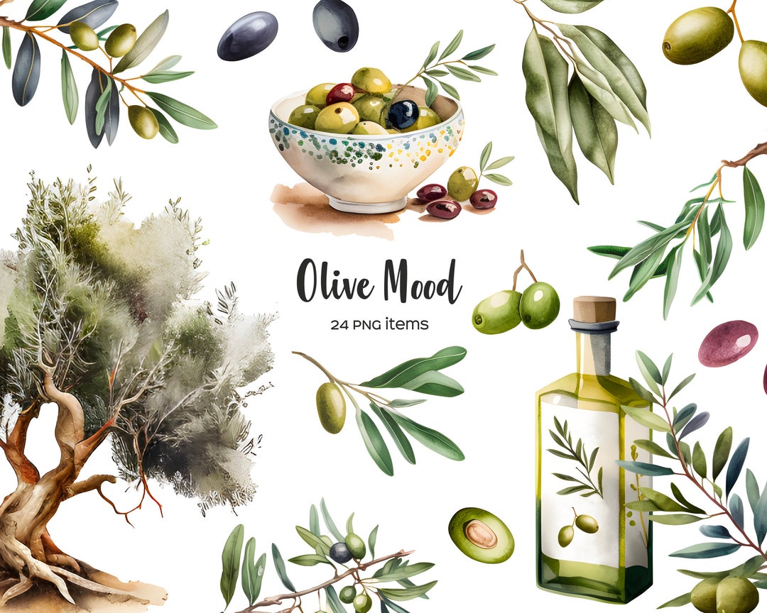Watercolor Olive Clipart: Branches, Wreath, Tree, Oil (24 PNG) - Etsy