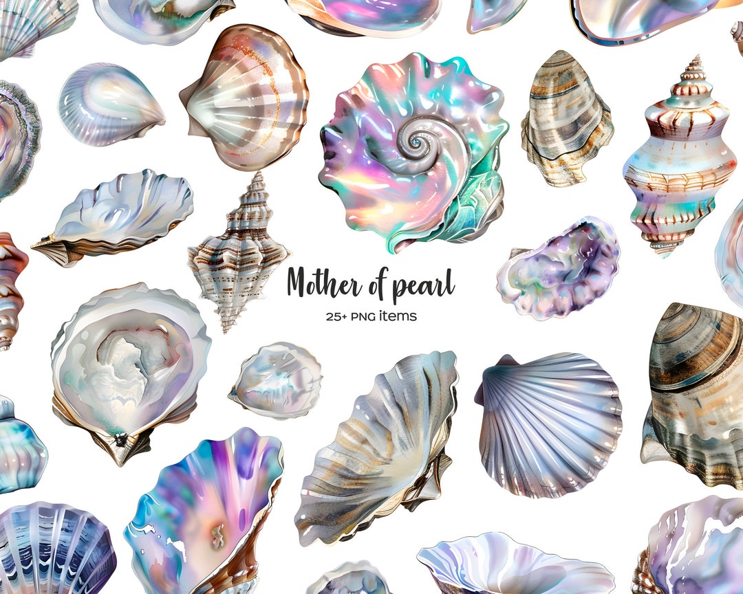 Watercolor Pearl Shell Clipart: Mother of Pearl PNG (28 Seashells) - Etsy