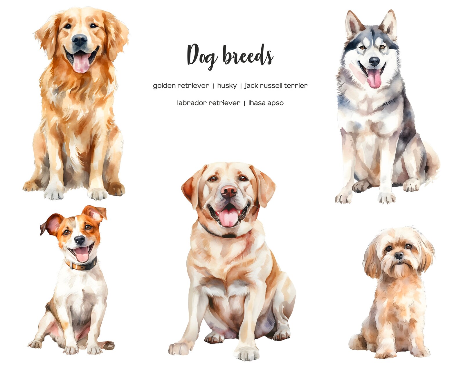 Watercolor Dog Breeds Clipart: 25 PNG Dog Graphics (digital Download ...