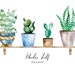 Watercolor Cactus Clipart: Potted Succulents PNG (digital Download) - Etsy