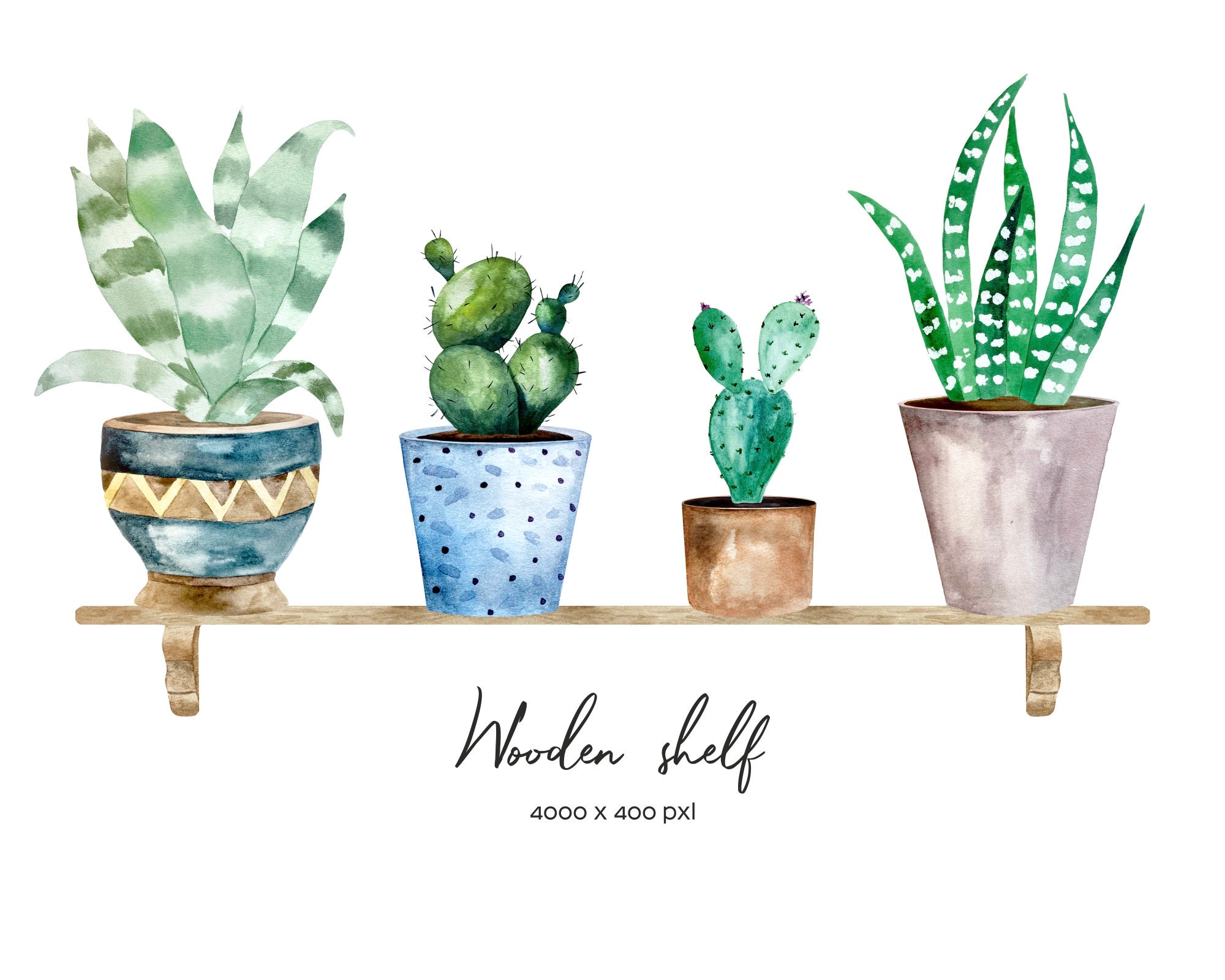 Watercolor Cactus Clipart: Potted Succulents PNG (digital Download) - Etsy