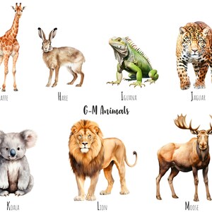 Watercolor Alphabet Animals Clipart: A-Z Zoo PNG (digital Download) - Etsy