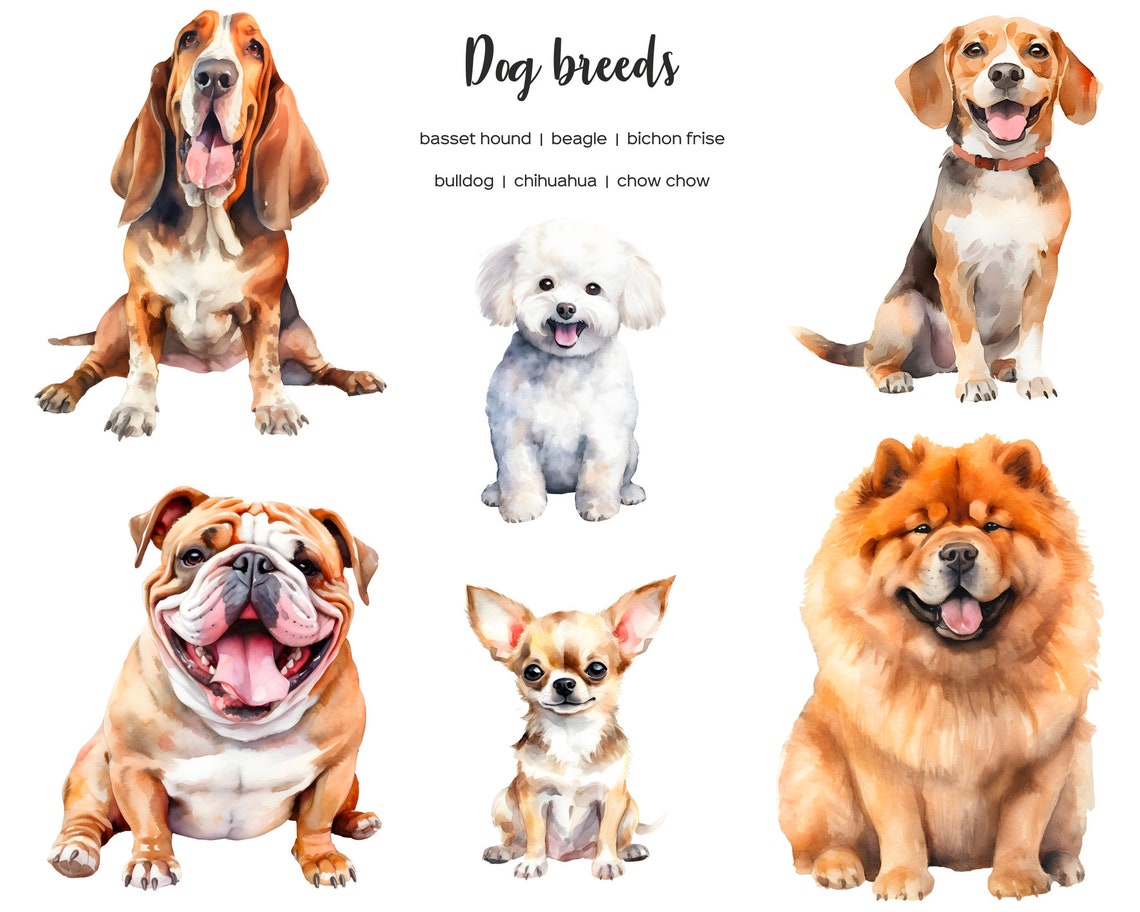 Watercolor Dog Breeds Clipart: 25 PNG Dog Graphics (digital Download ...