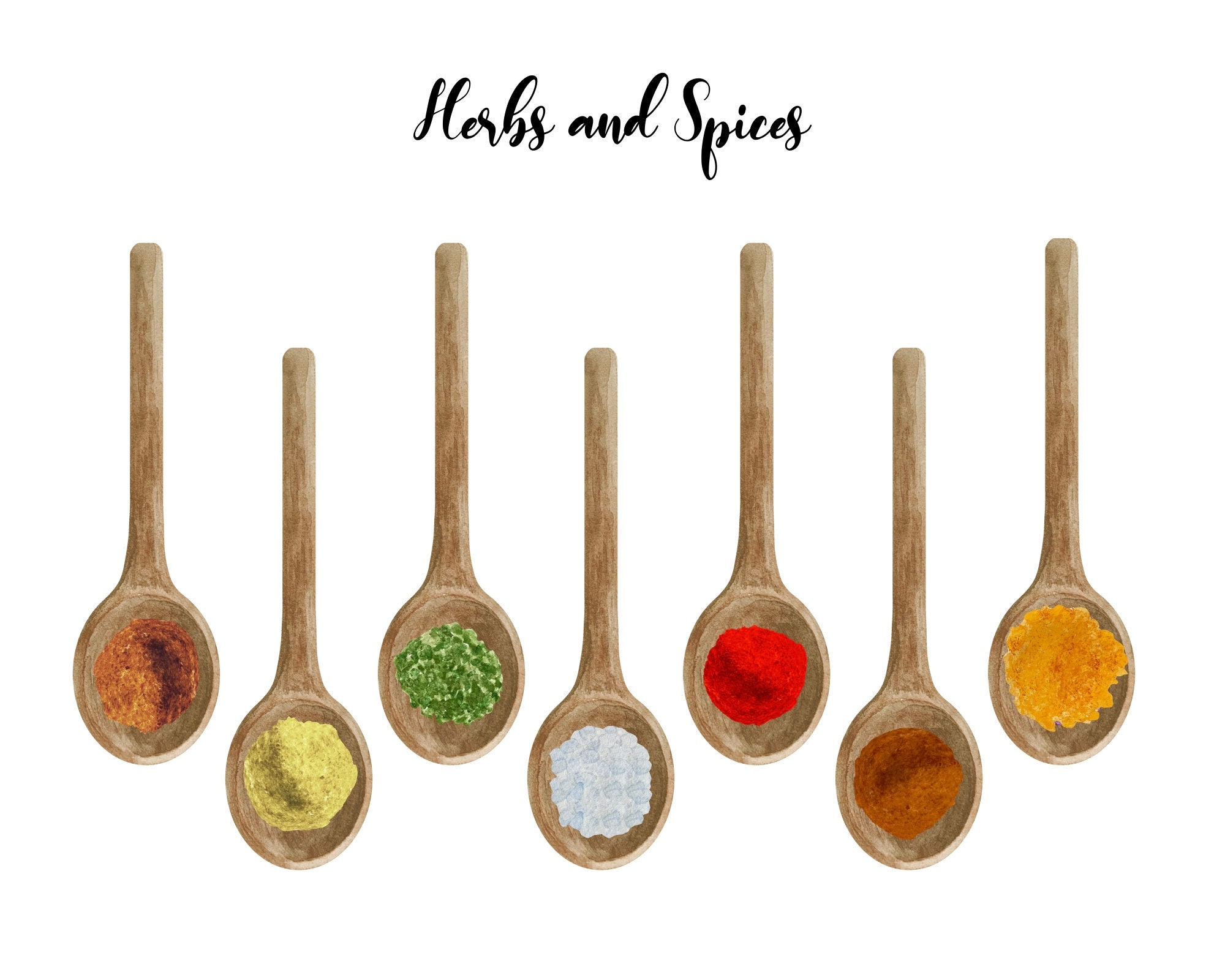Watercolor Herbs and Spices Clipart. Dried and Fresh Kitchen Culinary ...