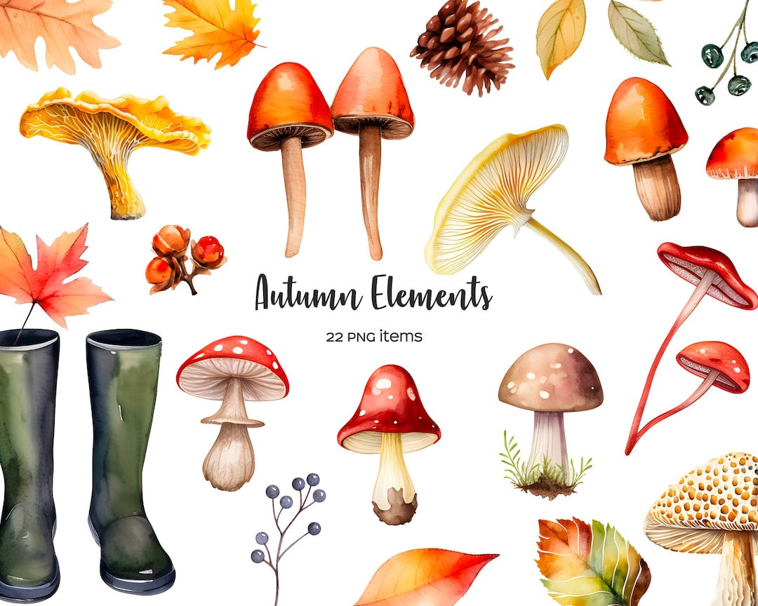 Watercolor Mushroom Clipart: Autumn Forest Elements (PNG) - Etsy