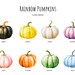 Watercolor Rainbow Pumpkin Clipart: Halloween Thanksgiving Illustration ...