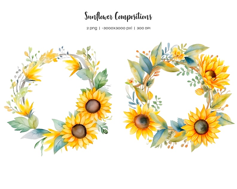 Watercolor Sunflower Clipart: Summer Blossom PNG (22 Items) - Etsy