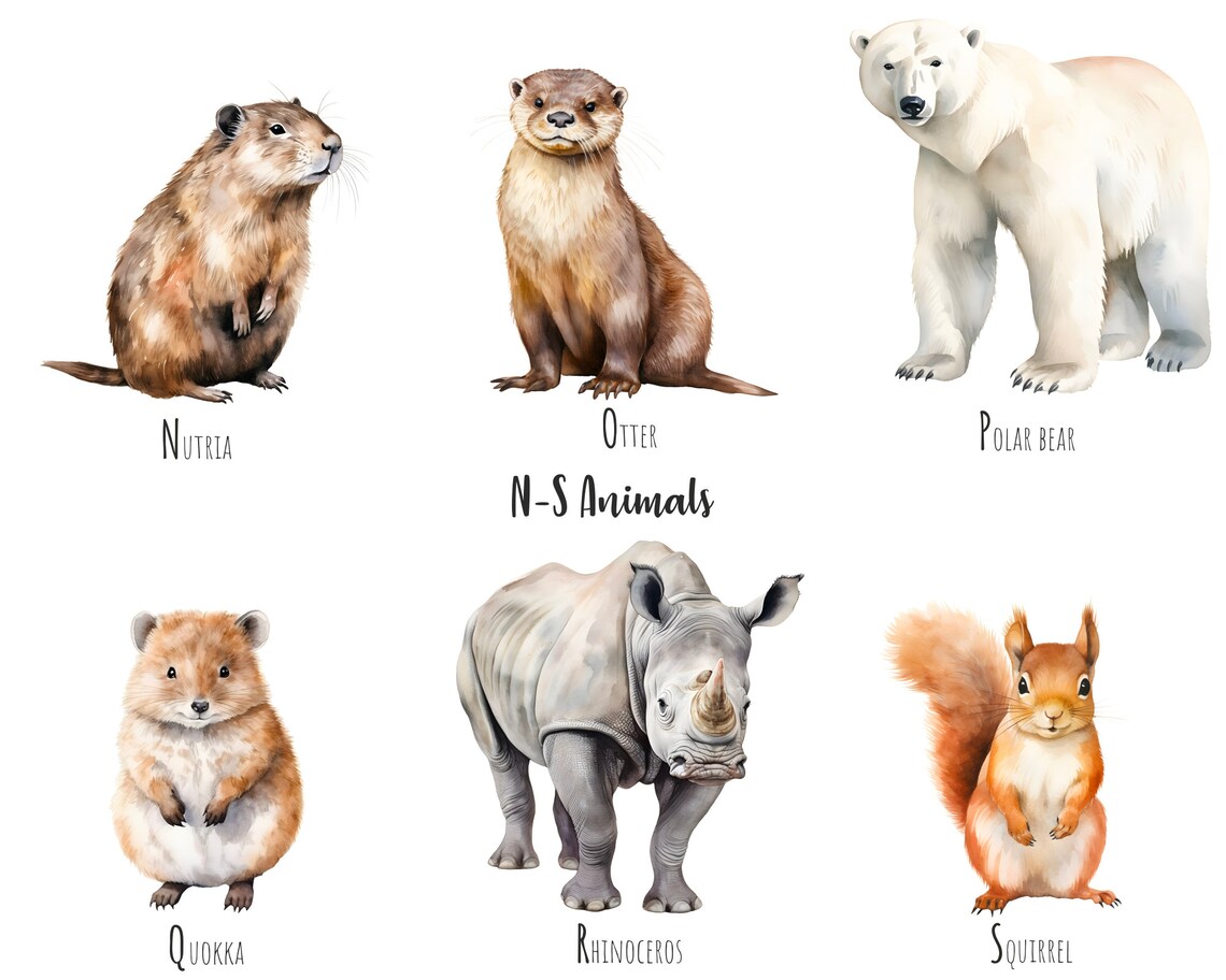 Watercolor Alphabet Animals Clipart: A-Z Zoo PNG (digital Download) - Etsy