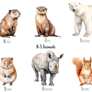 Watercolor Alphabet Animals Clipart: A-Z Zoo PNG (digital Download) - Etsy