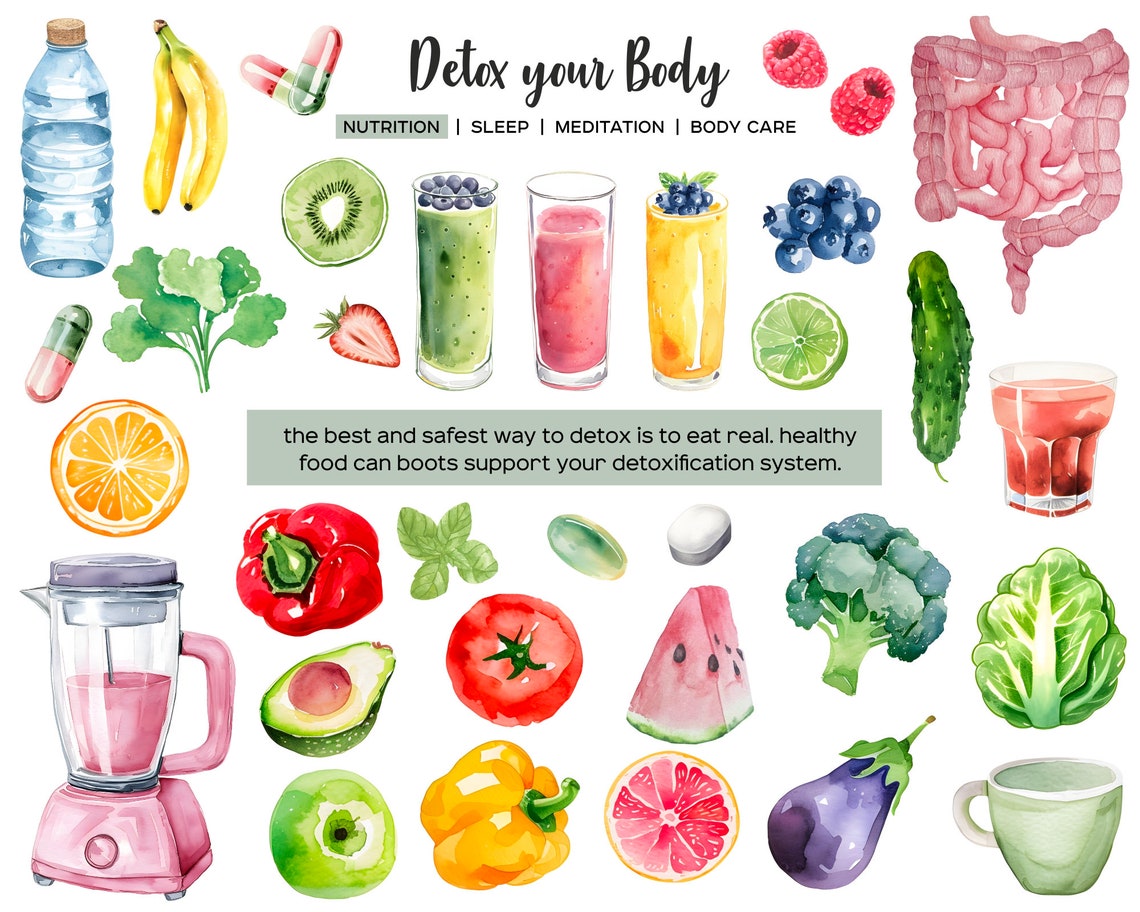 Watercolor Detox Clipart: Wellness, Nutrition, Meditation (68 PNG) - Etsy