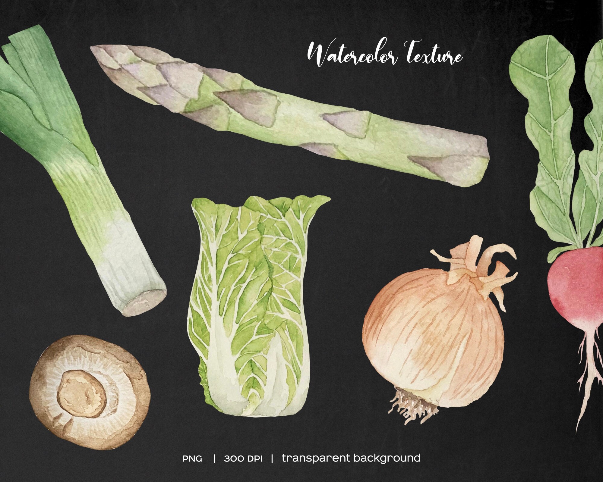 Watercolor Vegetable Clipart A-Z: Veggies Alphabet (PNG Digital ...