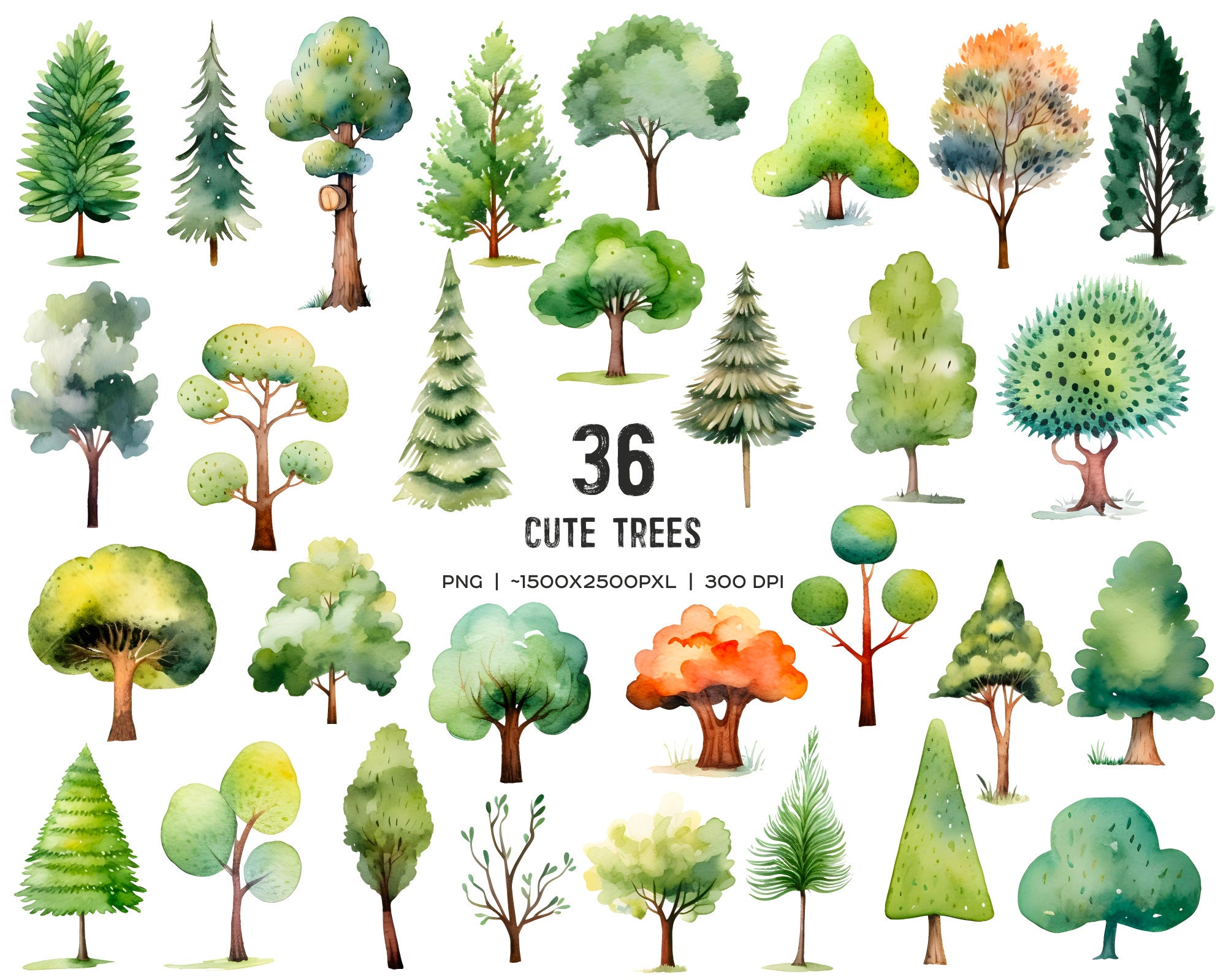 Watercolor Trees Clipart. Watercolor Forest Clip Art. Woodland ...