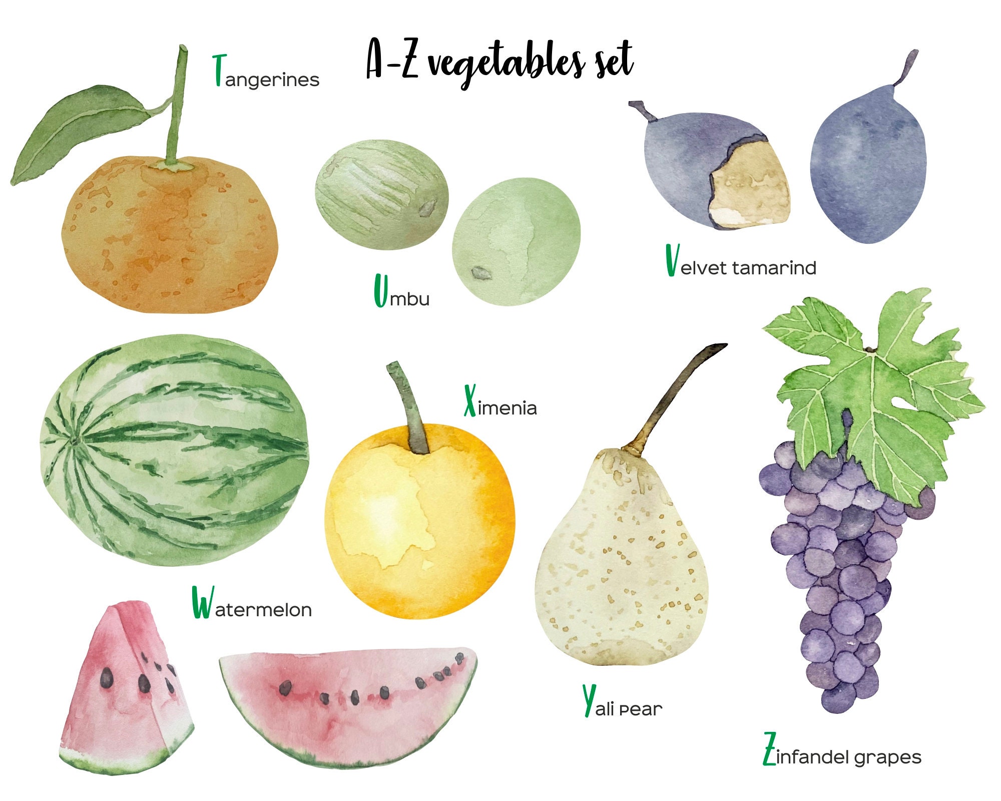 Watercolor A-Z Fruits Clipart. Veggies Watercolor. Full Alphabet Fruits ...