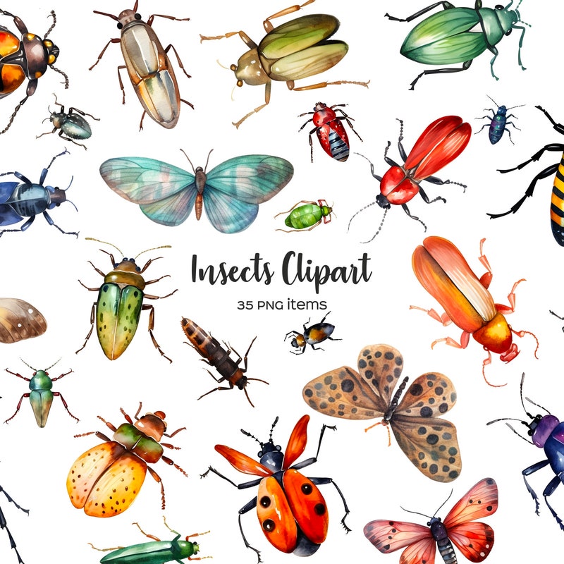 Watercolor Insects - Etsy