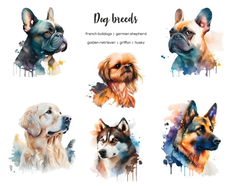 Watercolor Dog Breeds Clipart. Dogs Clip Art. Dog Types 35 - Etsy