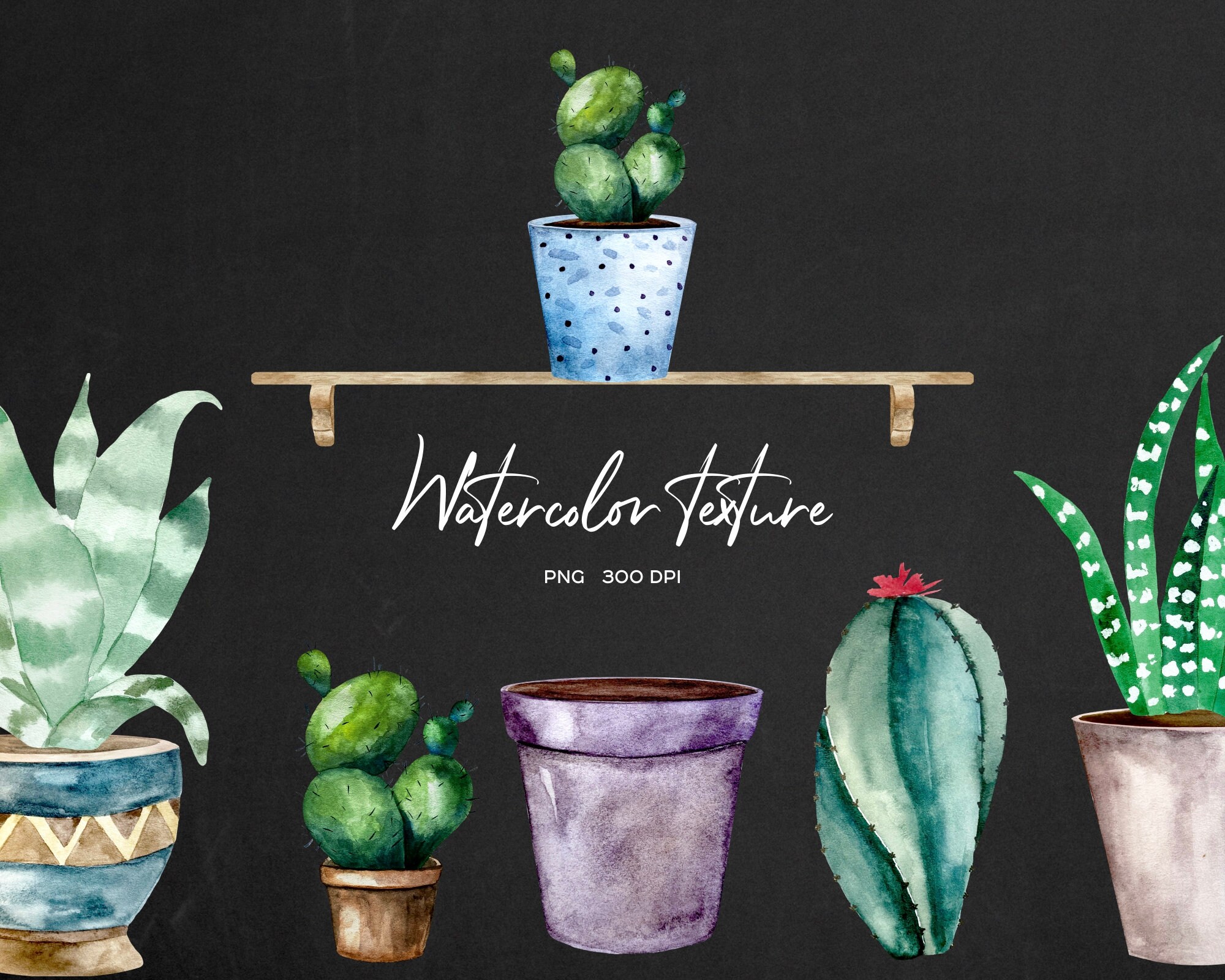 Watercolor Cactus Clipart: Potted Succulents PNG (digital Download) - Etsy