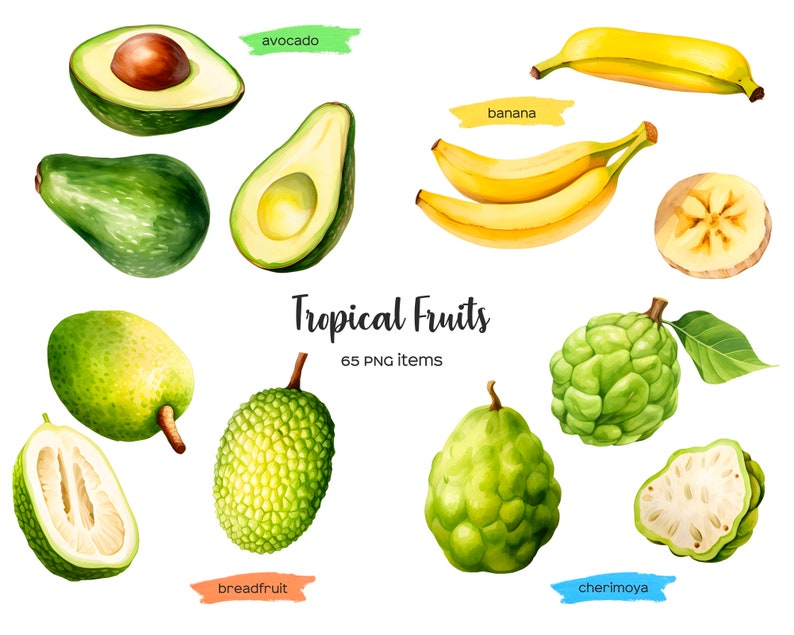 Watercolor Tropical Fruit Clipart: Exotic Food PNG Set (64 Items ...