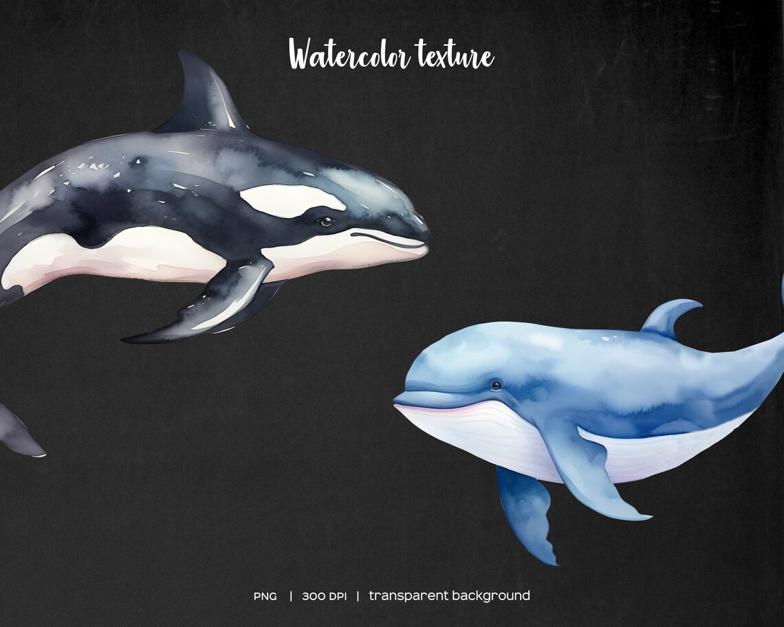 Watercolor Antarctic Animals Clipart: Polar Wildlife PNG (digital ...