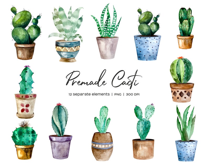 Watercolor Cactus Clipart: Potted Succulents PNG (digital Download) - Etsy