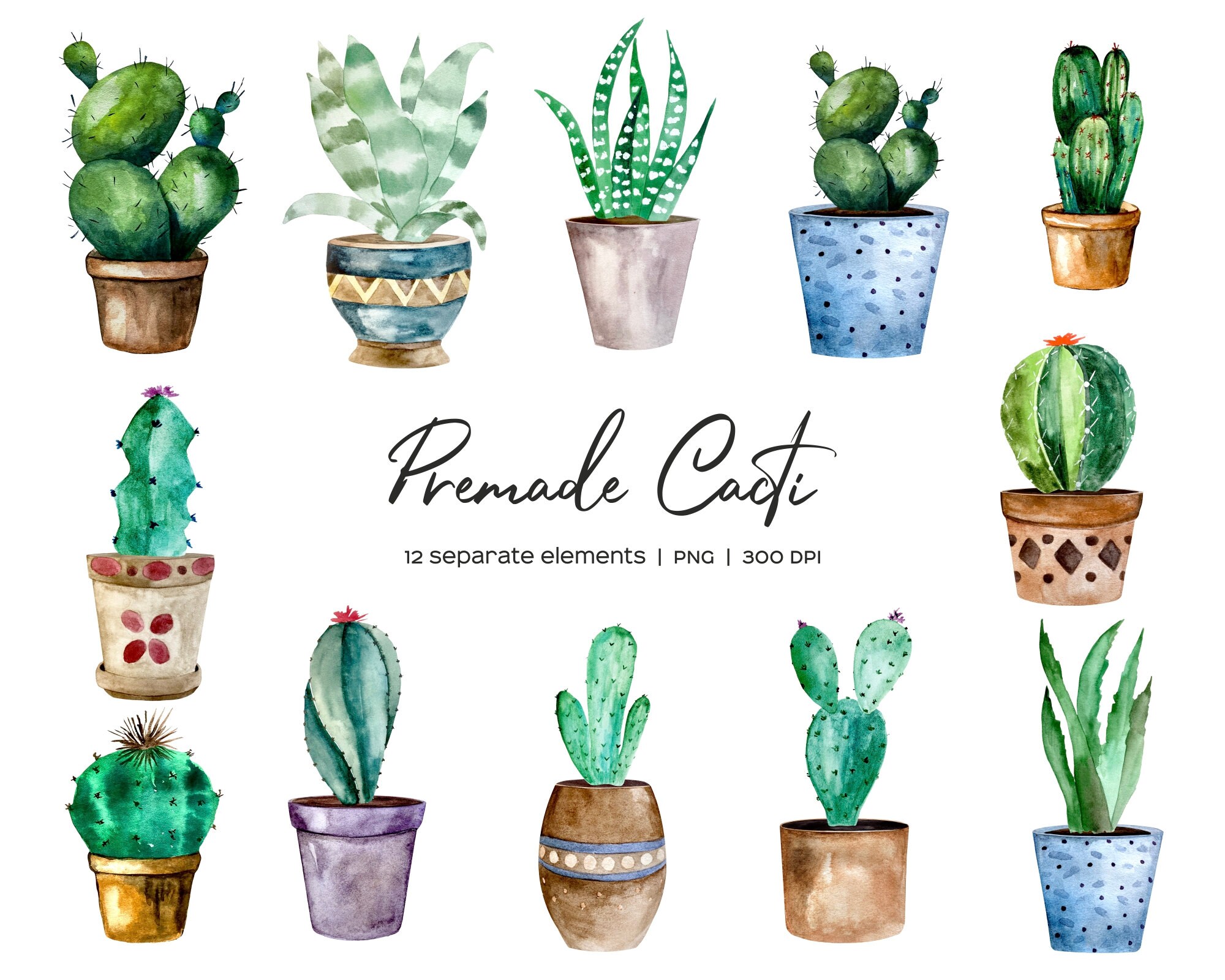 Watercolor Cactus Clipart: Potted Succulents PNG (digital Download) - Etsy