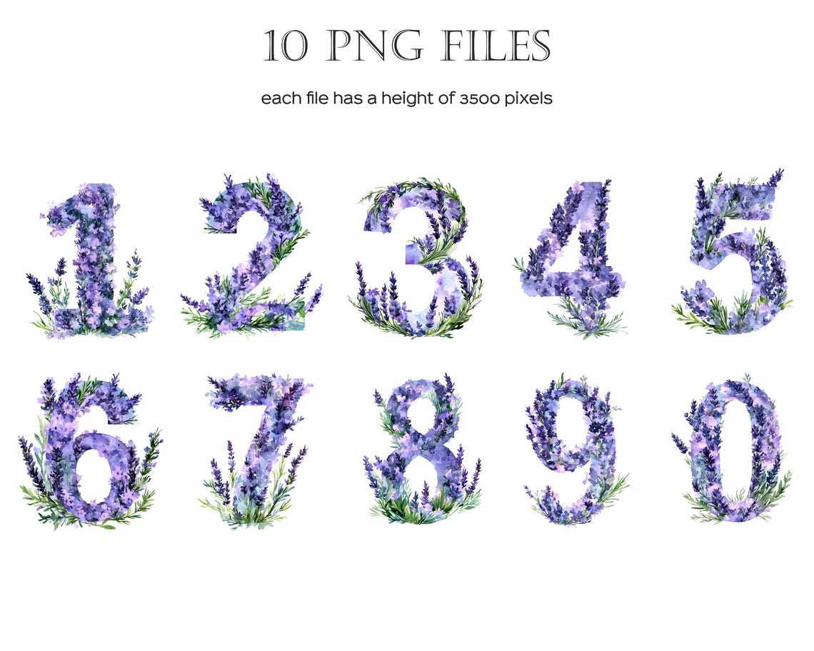 Watercolor Lavender Number Clipart: Floral Digits (PNG Digital Download ...