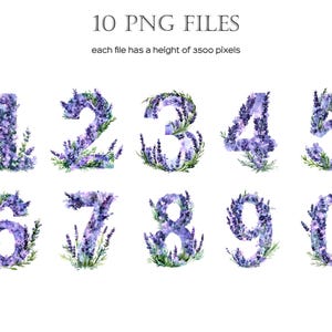 Watercolor Lavender Number Clipart: Floral Digits (PNG Digital Download ...
