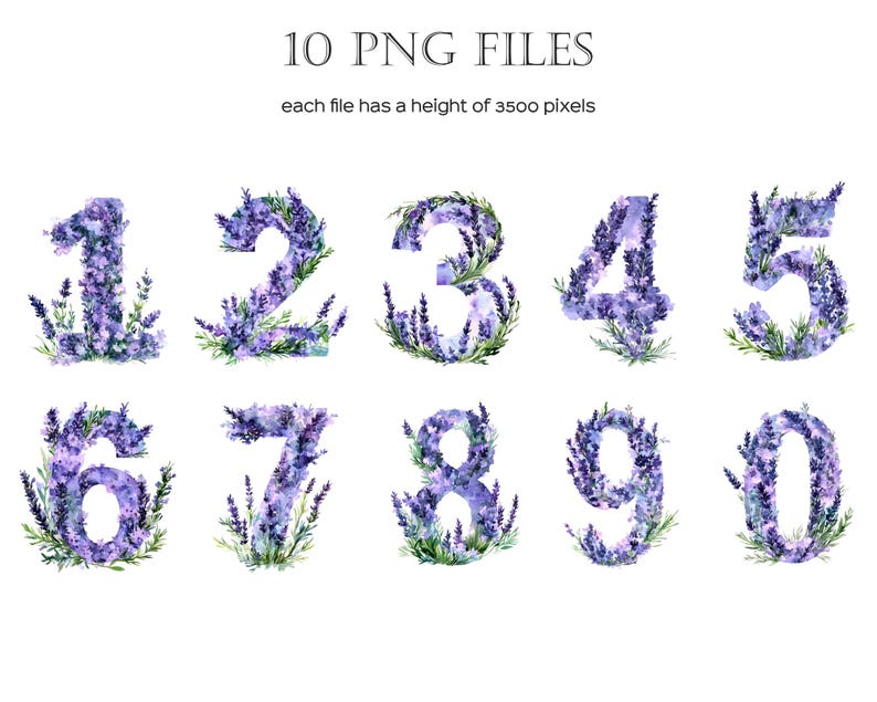 Watercolor Lavender Number Clipart: Floral Digits (PNG Digital Download ...