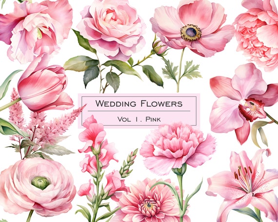 Pastel Wedding Flower Clip Art Spring Colorful Bouquet With Pastel