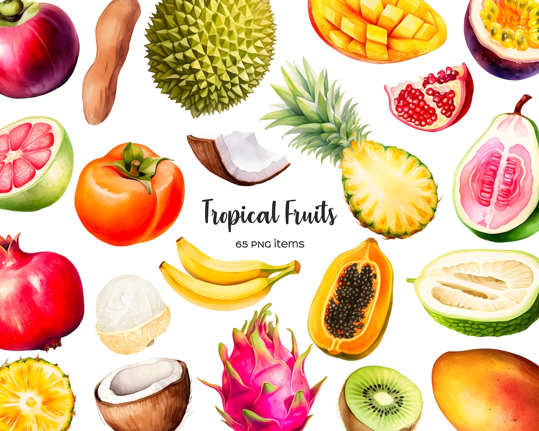 Watercolor Tropical Fruit Clipart: Exotic Food PNG Set (64 Items ...