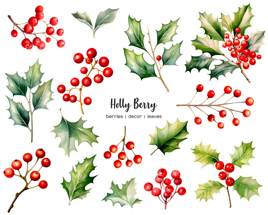 Watercolor Christmas Holly Berry Clipart: 15 PNG Set (digital Download ...