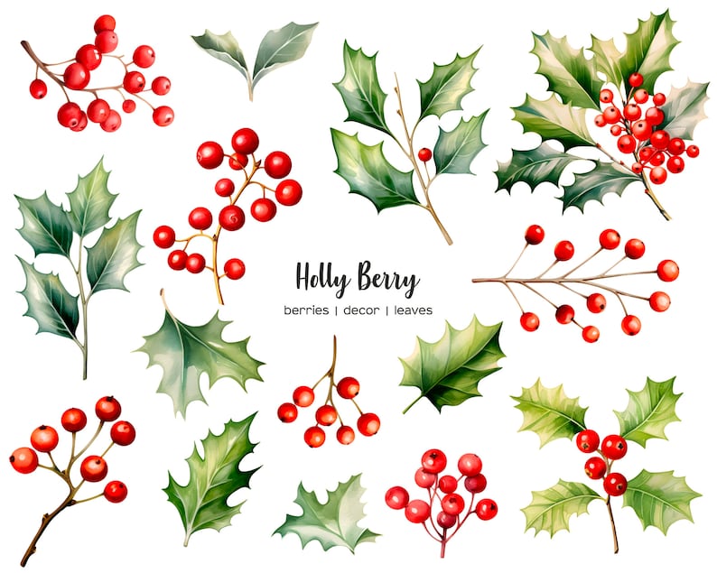 Watercolor Christmas Holly Berry Clipart: 15 PNG Set (digital Download ...