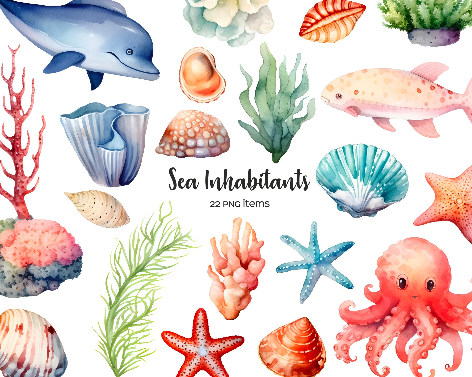 Watercolor Sea Life Clipart: Shells, Coral, Starfish (22 PNG) (digital ...