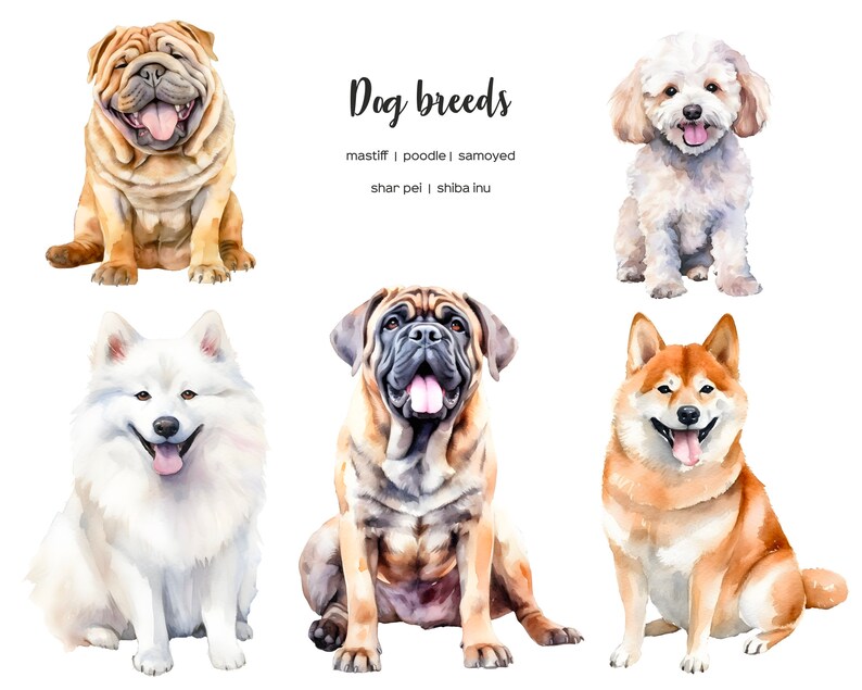 Watercolor Dog Breeds Clipart: 25 PNG Dog Graphics (digital Download ...