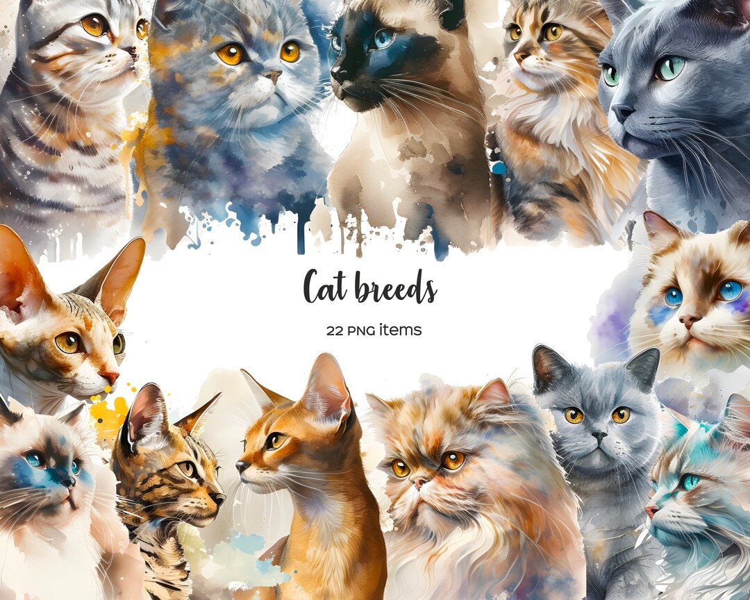 Watercolor Cat Breeds Clipart. Cats Clip Art. Cat Types 22 PNG. Cat ...