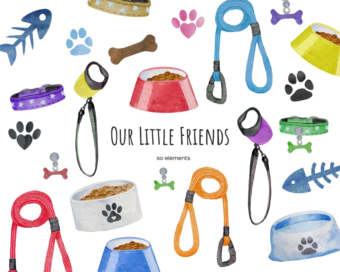 Watercolor Pet Supplies Clipart: Dog & Cat Accessories (digital ...