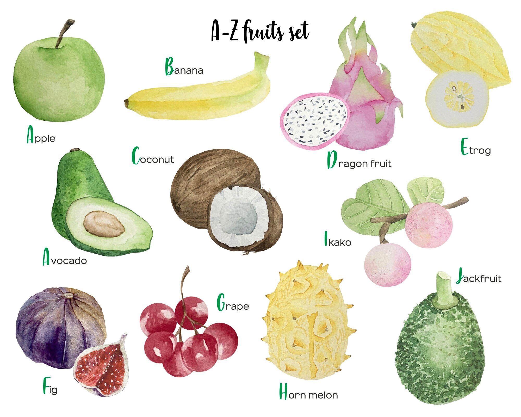 Watercolor A-Z Fruits Clipart. Veggies Watercolor. Full Alphabet Fruits ...