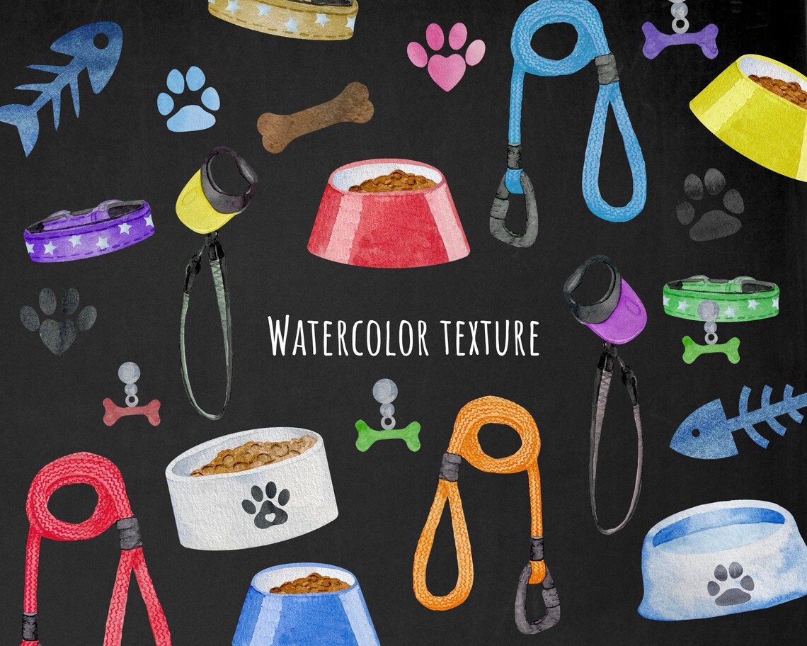 Watercolor Pet Supplies Clipart: Dog & Cat Accessories (digital ...