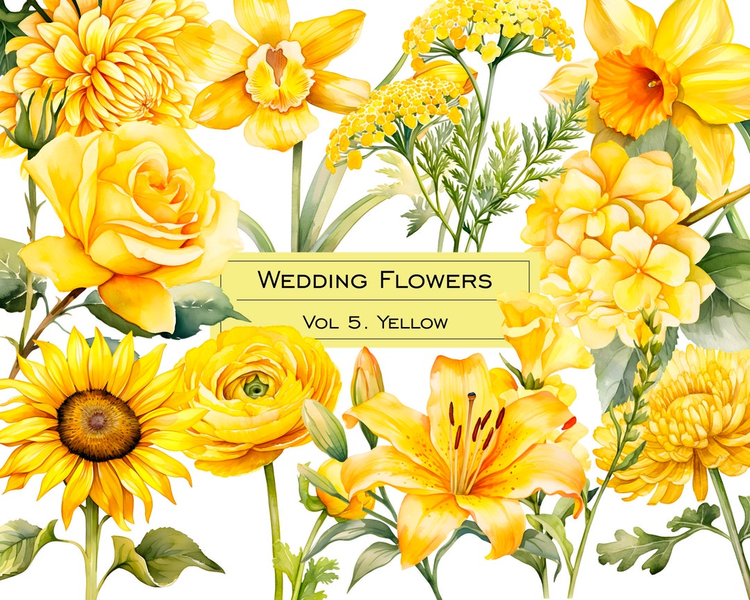 Watercolor Yellow Wedding Flower Clipart: Floral PNG Set (digital ...