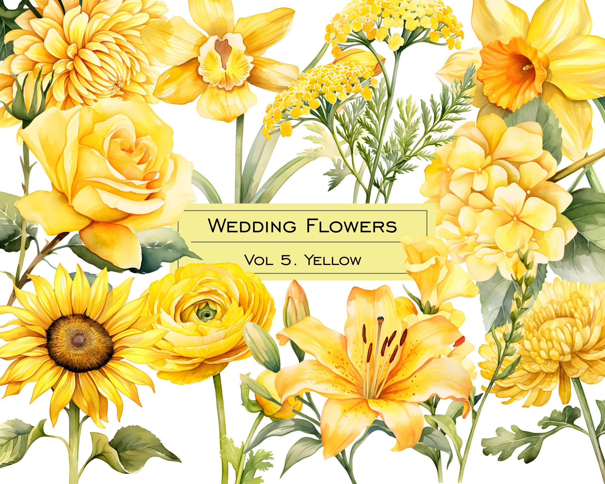 Yellow Roses Bouquet Watercolor Premium Vector | Roses Bouquet