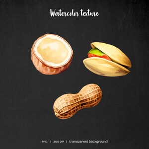 Watercolor Nuts Clipart: Vegan Food PNG Bundle (40 Items) - Etsy
