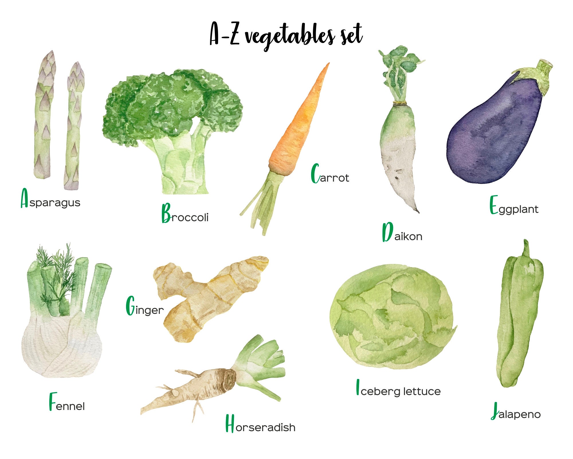 Watercolor Vegetable Clipart A-Z: Veggies Alphabet (PNG Digital ...
