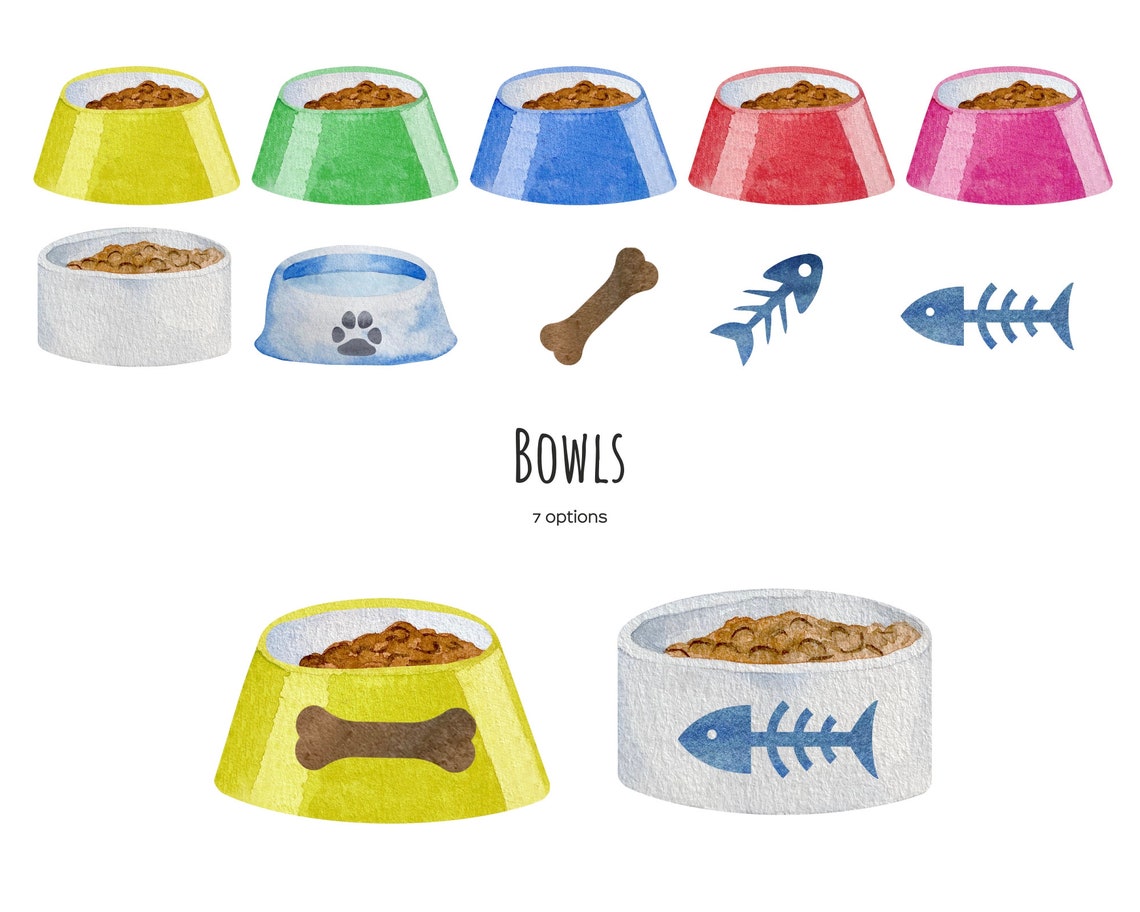 Watercolor Pet Supplies Clipart: Dog & Cat Accessories (digital ...