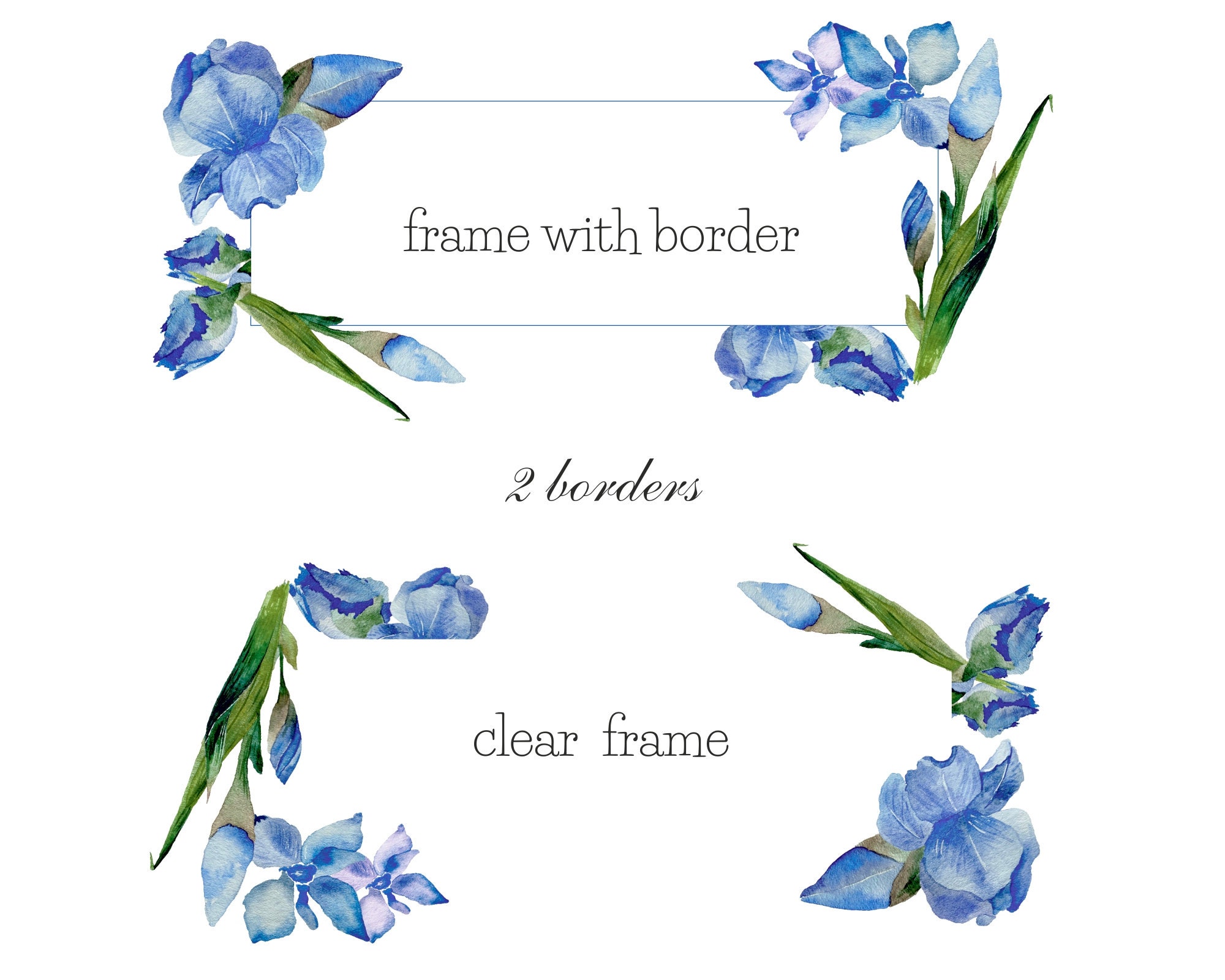 Watercolor Blue Iris Flowers Clipart. Irises Blossom and Branches PNG ...