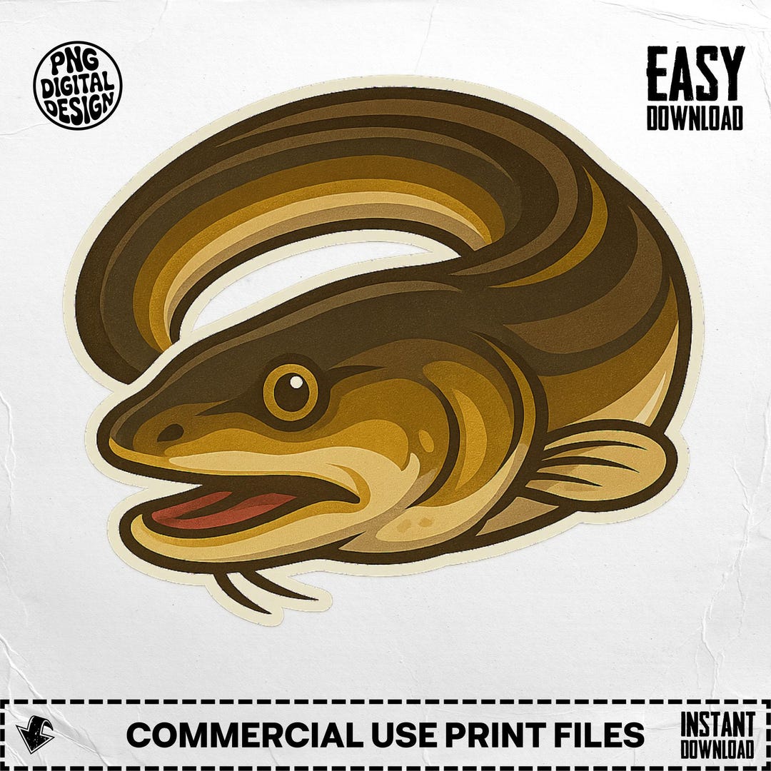 Eel PNG, Eel Clipart, Anguilla Png, Fish Png, Anguillidae Png ...