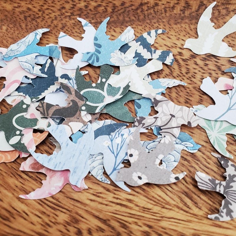 Bird Confetti - Etsy