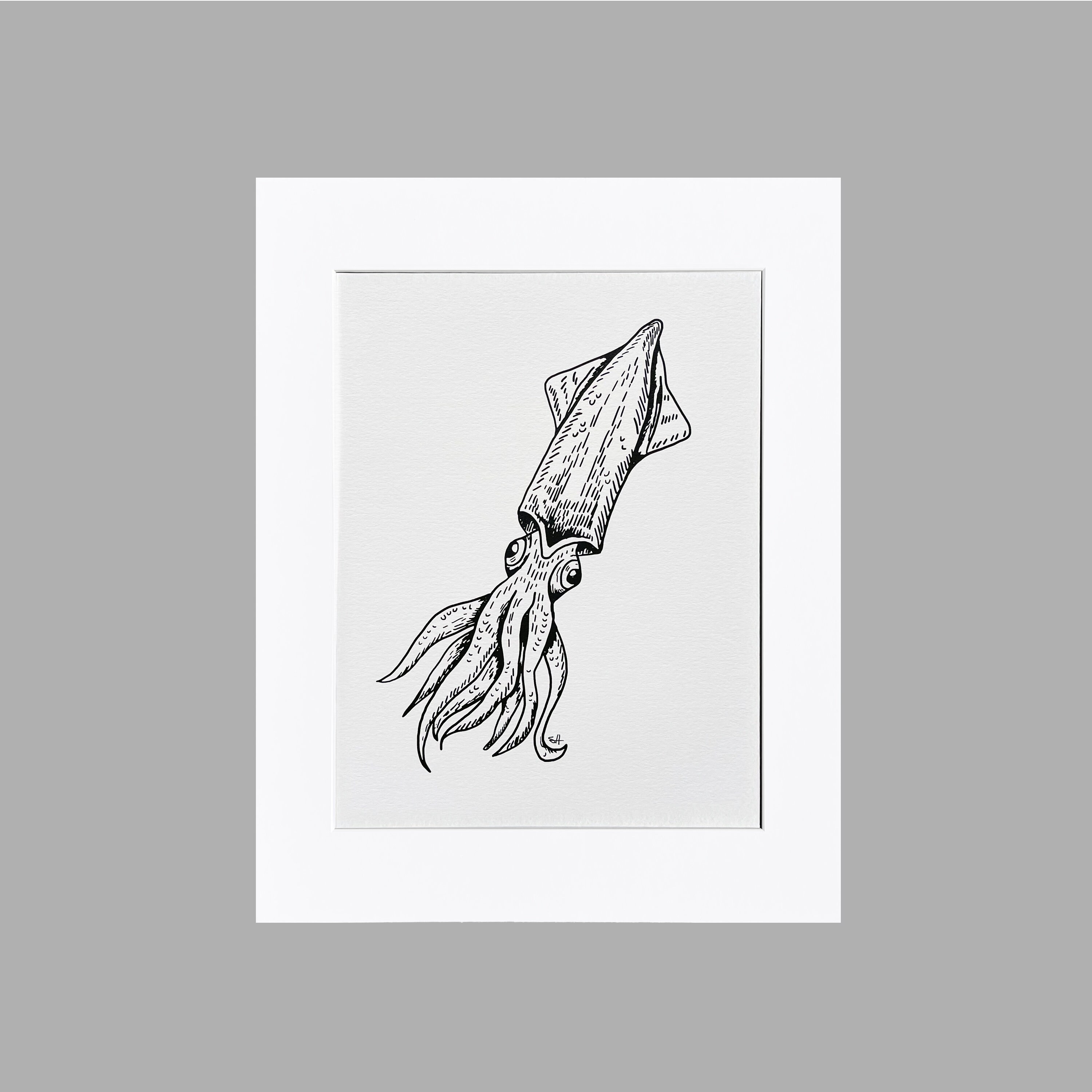 enjoy discount Squid