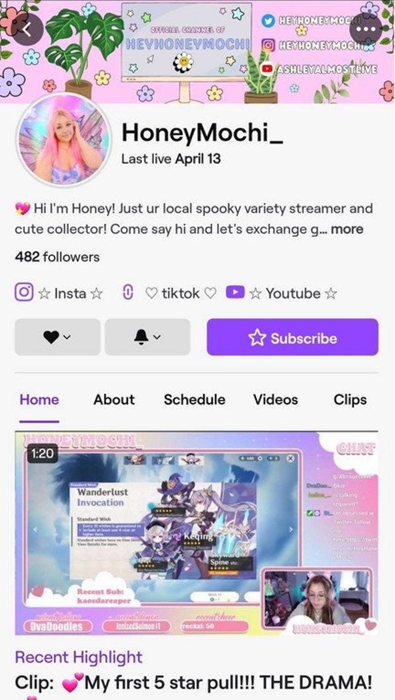 Plant Daddy Custom Twitch Header Photo With Your Socials youtube ...